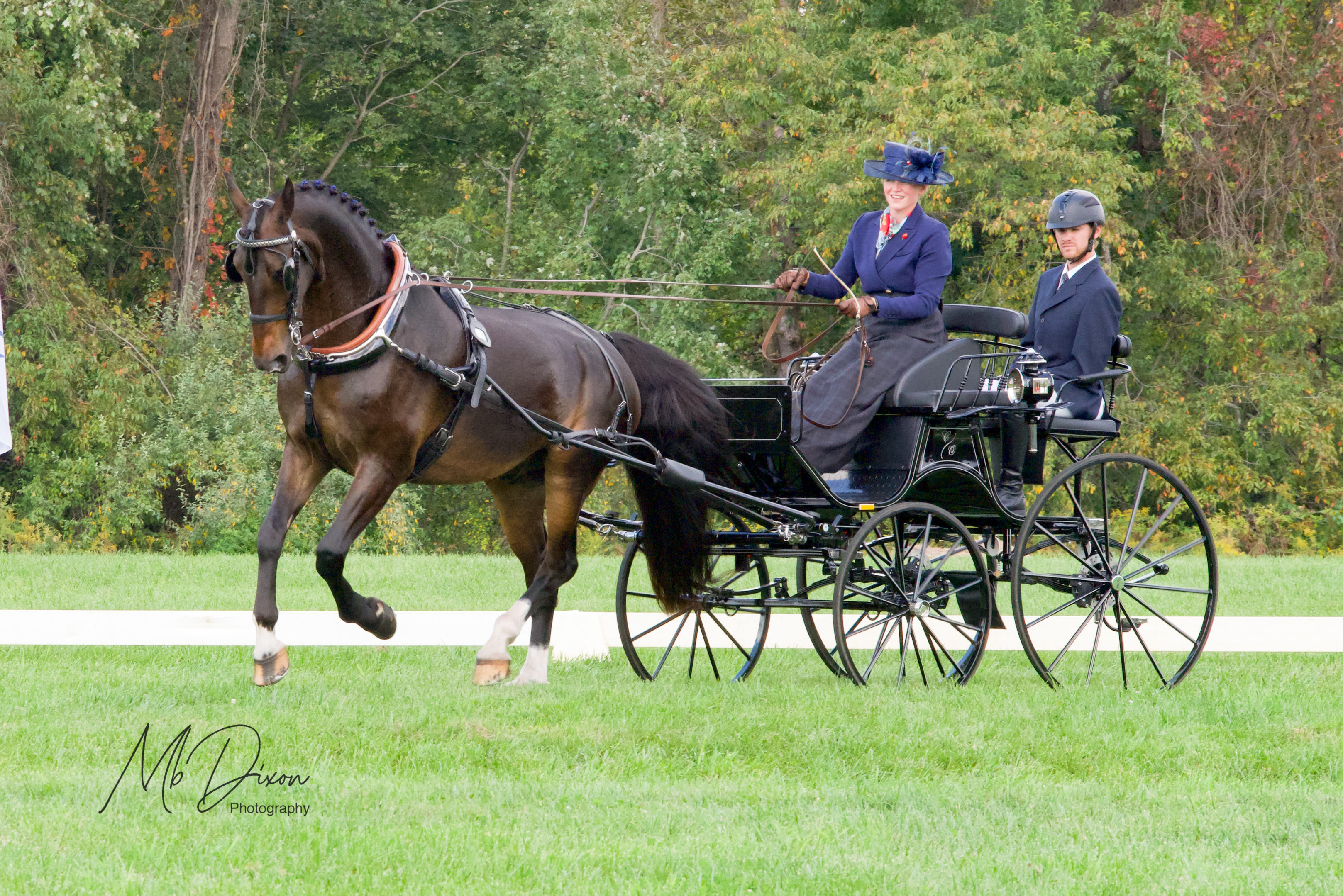 Lexington area residents prepare for FEI Driving World Championship for ...