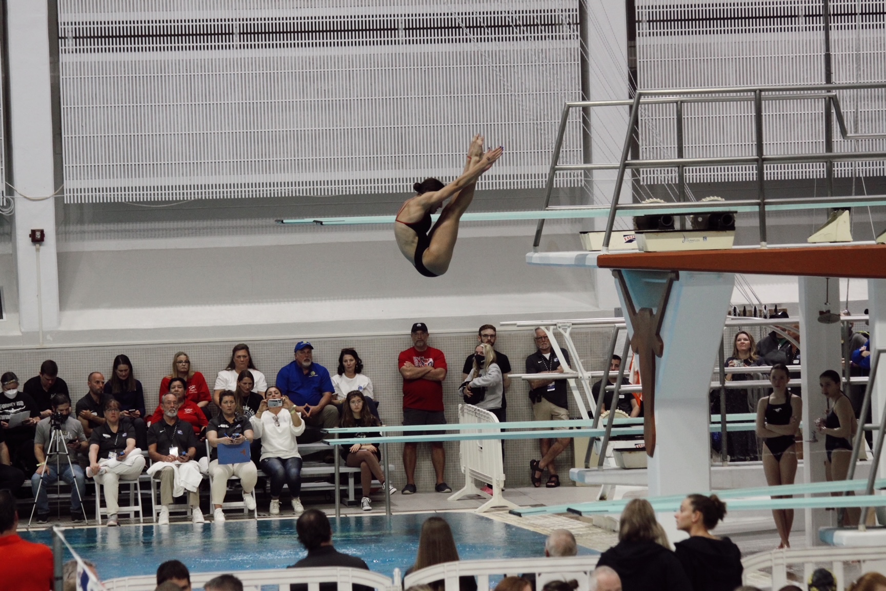 Lovejoy freshman diver Maria Faoro caps off season with 5A state meet ...