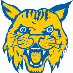 Tuesday boys basketball: Stryker tops Aces, MC's Kaufman wins 100th ...