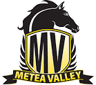 Metea Valley Mustangs Athletics | Aurora, IL - BVM Sports