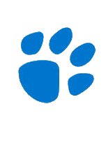 Mount Holyoke College Lyons Women's Track & Field - BVM Sports