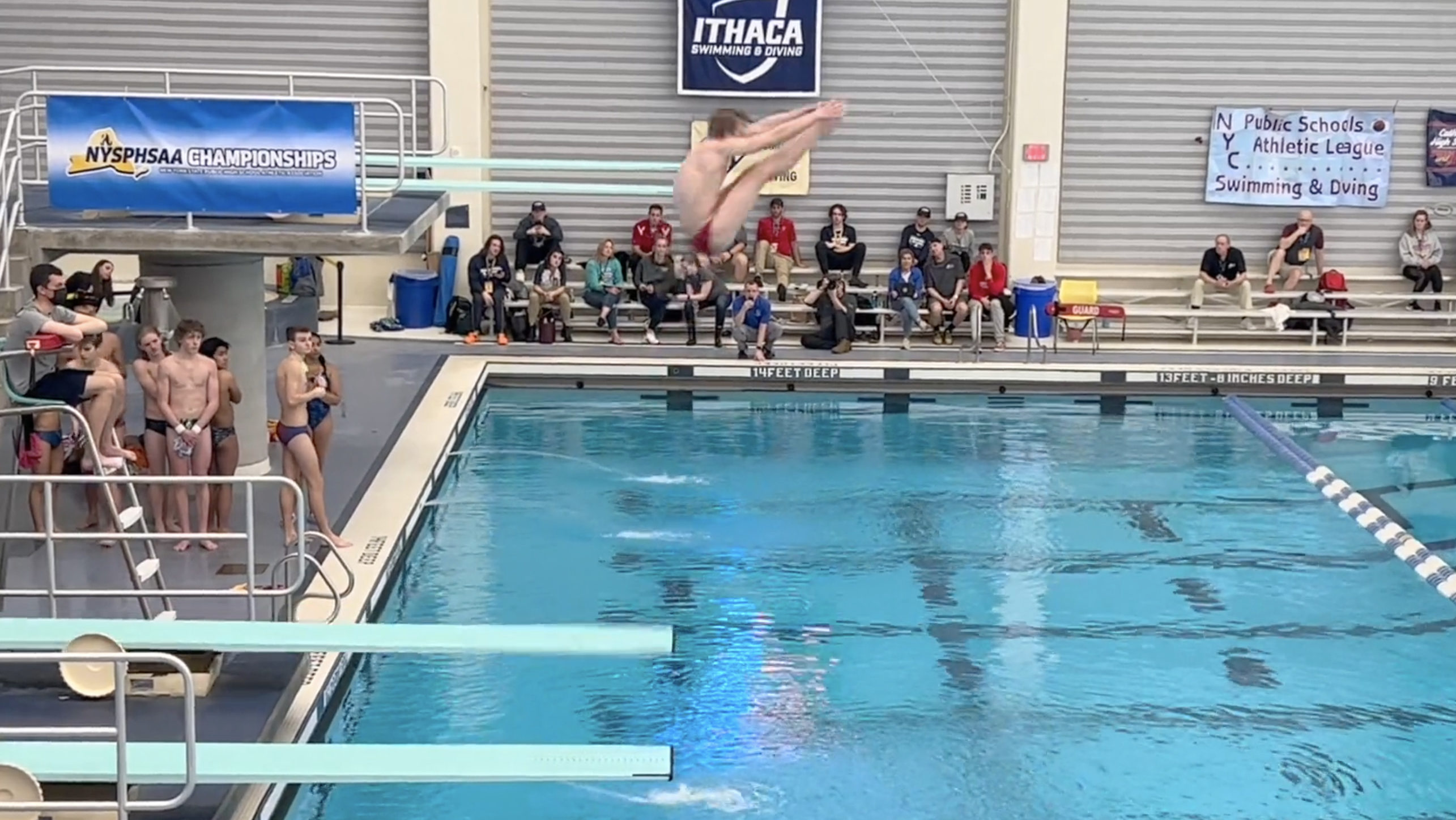 Senior diver Conor Compton caps off amazing career at Niskayuna HS ...