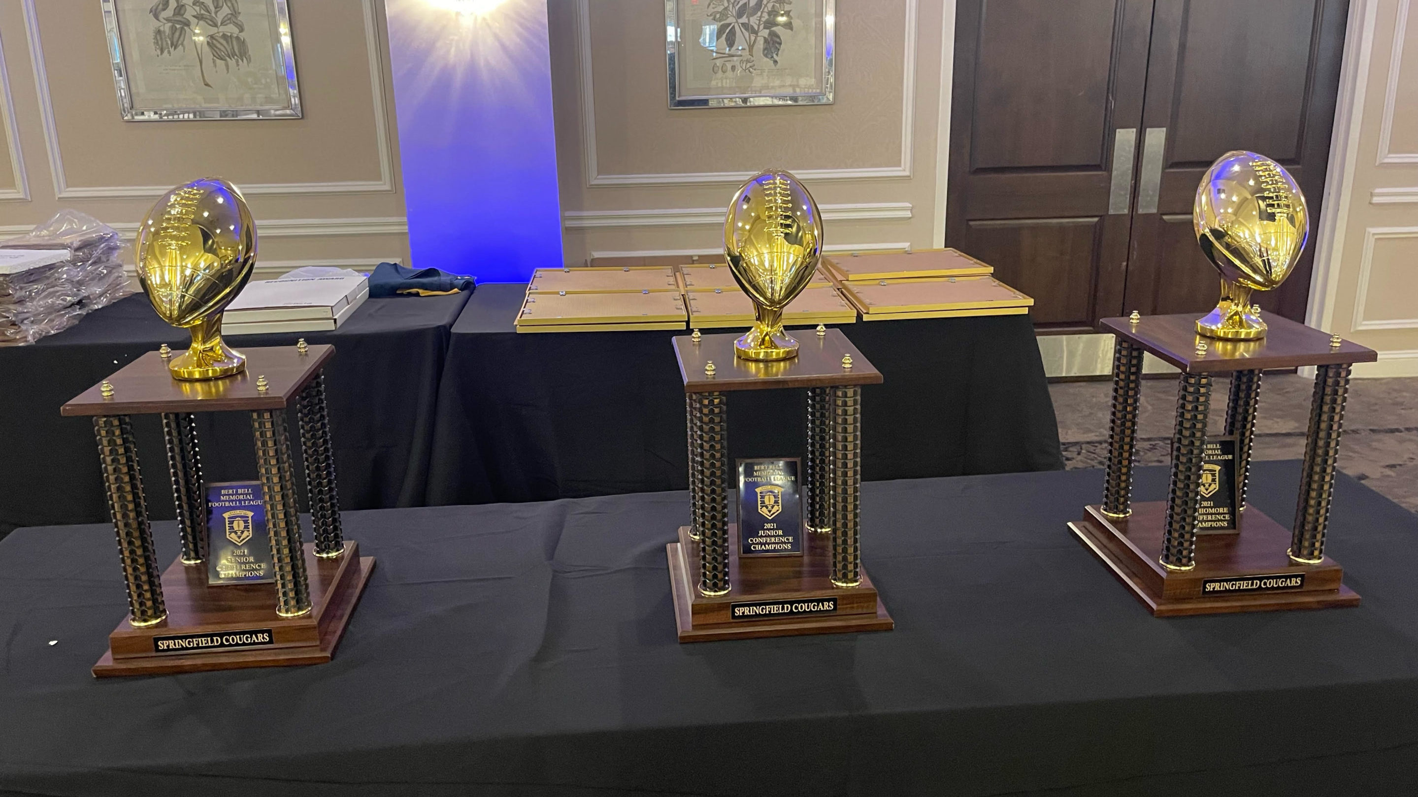 Springfield Youth Club triples up on football championships - BVM Sports