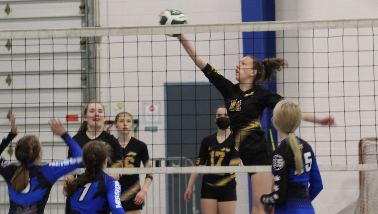 Orillia Suns Heatwave U14 girls volleyball team wins bronze at ...