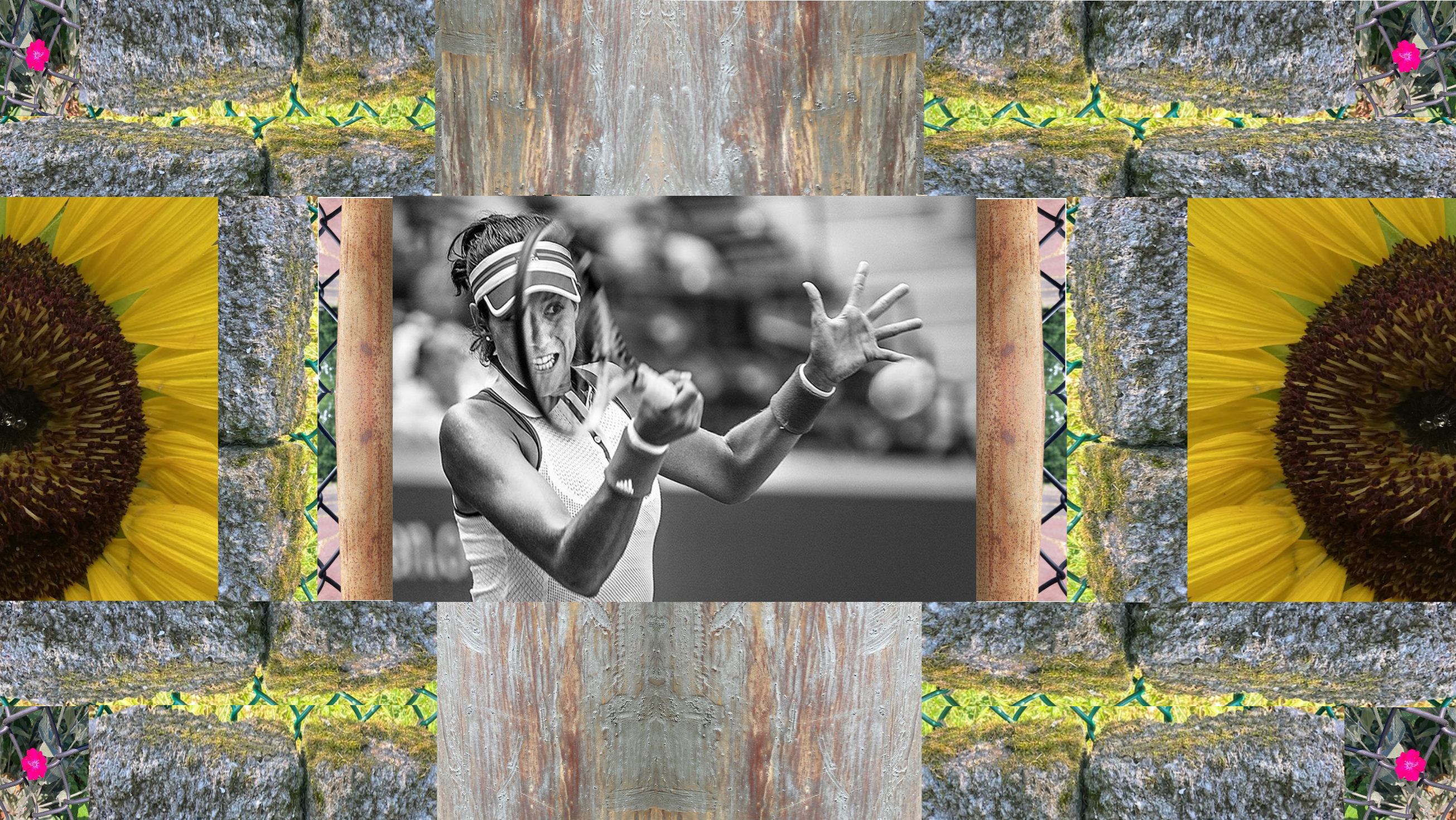 Catching up with Harrington Park area professional photographer Mel ...