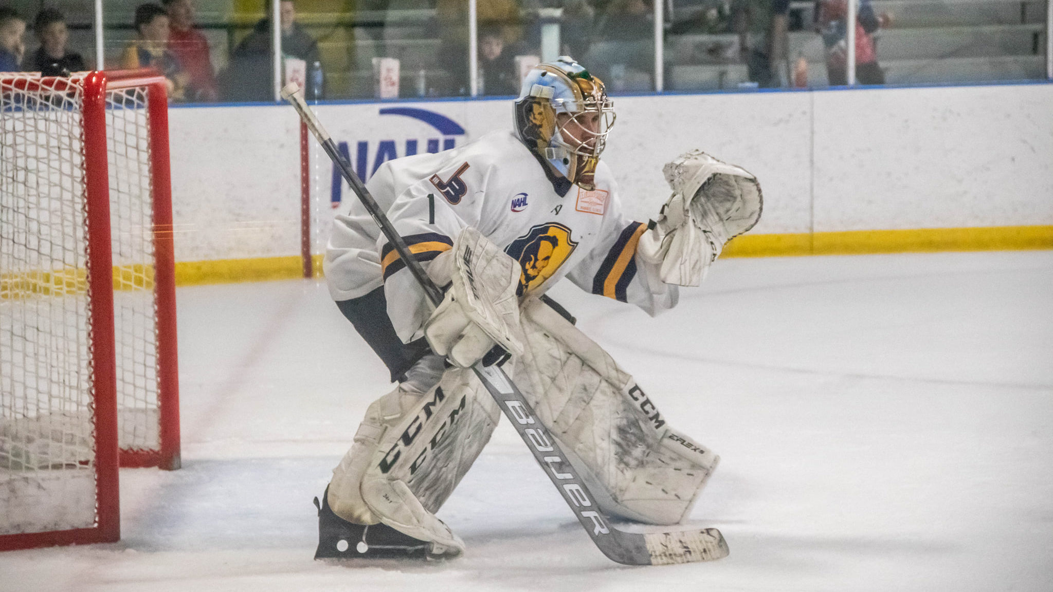 Springfield Jr. Blues hockey team has high expectations - BVM Sports