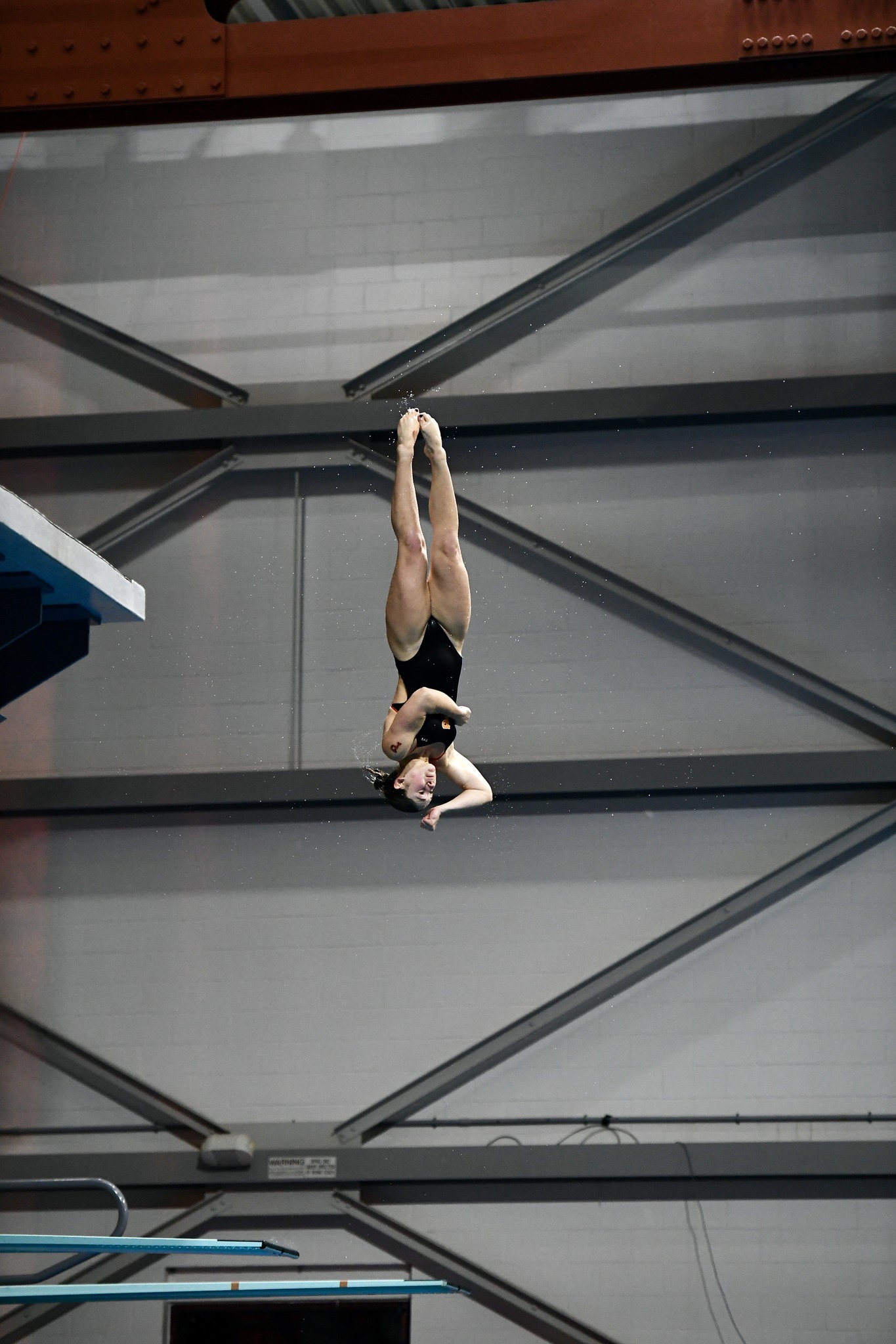 Get to know Weston alumna Charlotte Martinkus: Diving into greatness ...