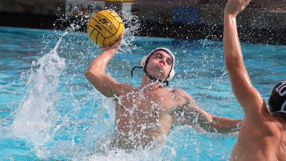 Meet El Dorado water polo athlete Trevor Davis - BVM Sports