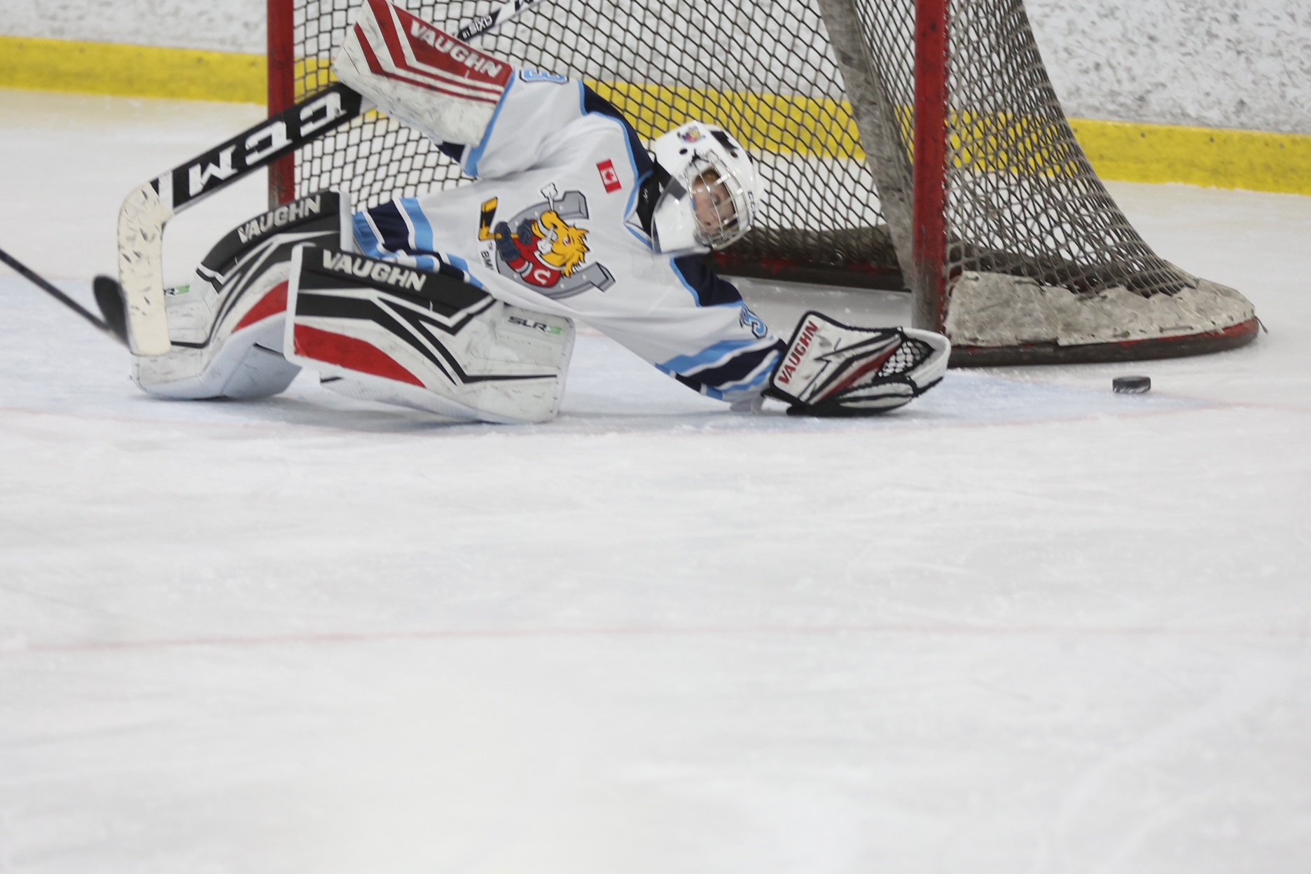 Barrie Colts U9 Gold team triumphs in Tier 1 Antique Division gold ...